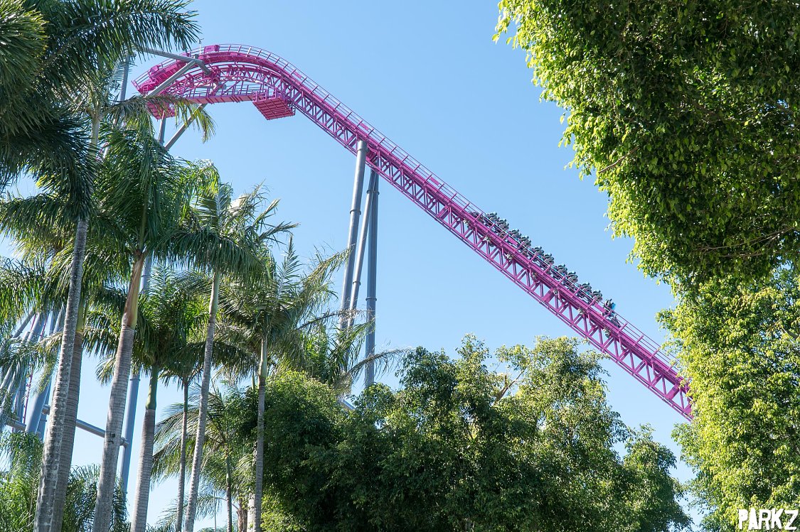 DC Rivals HyperCoaster testing | Parkz - Theme Parks